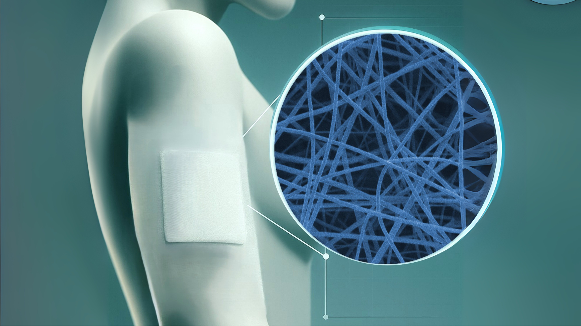 Polish scientists develop smart wound dressings for precision healing ...